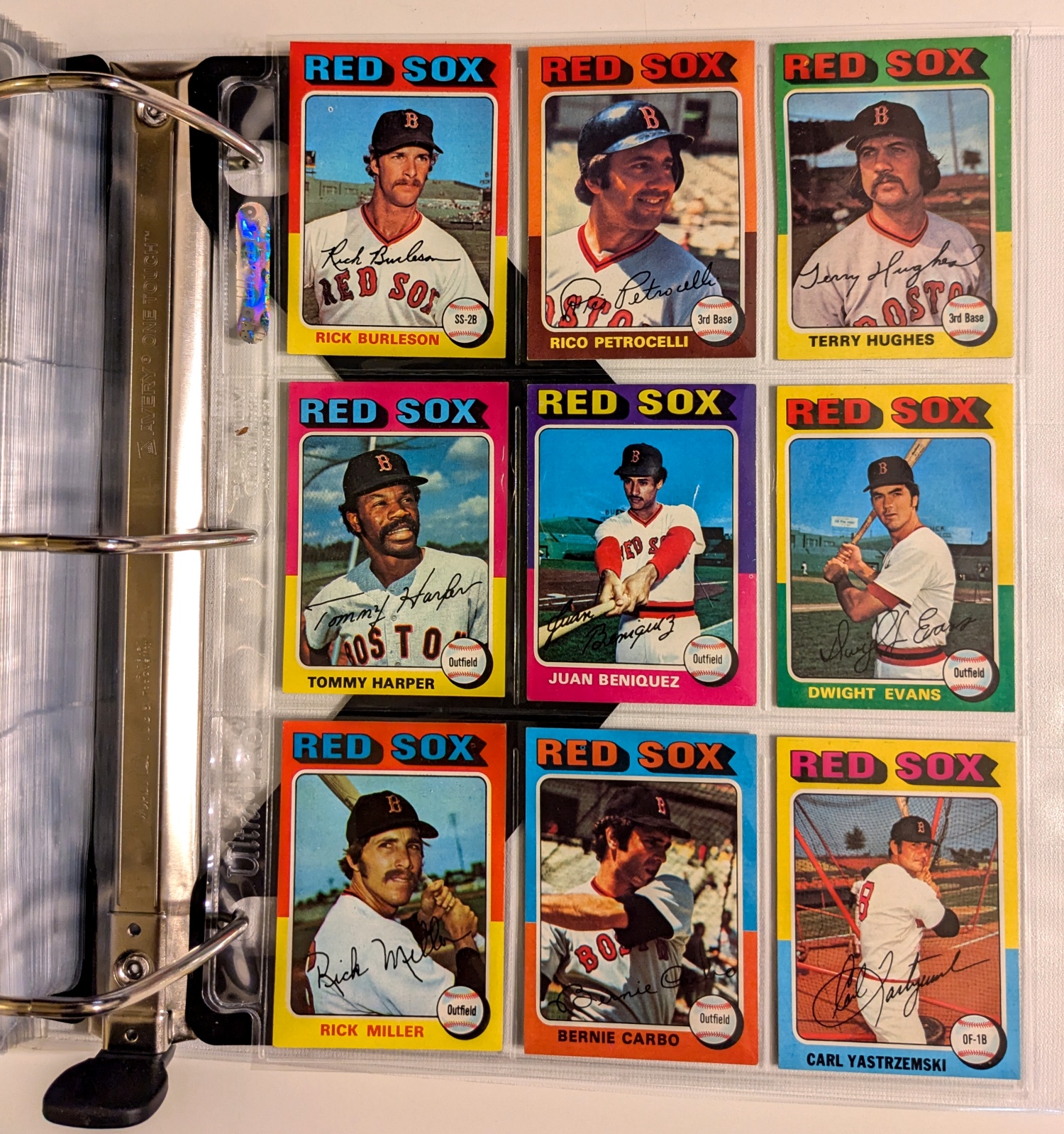 Poll of the Day | Trading Card Database